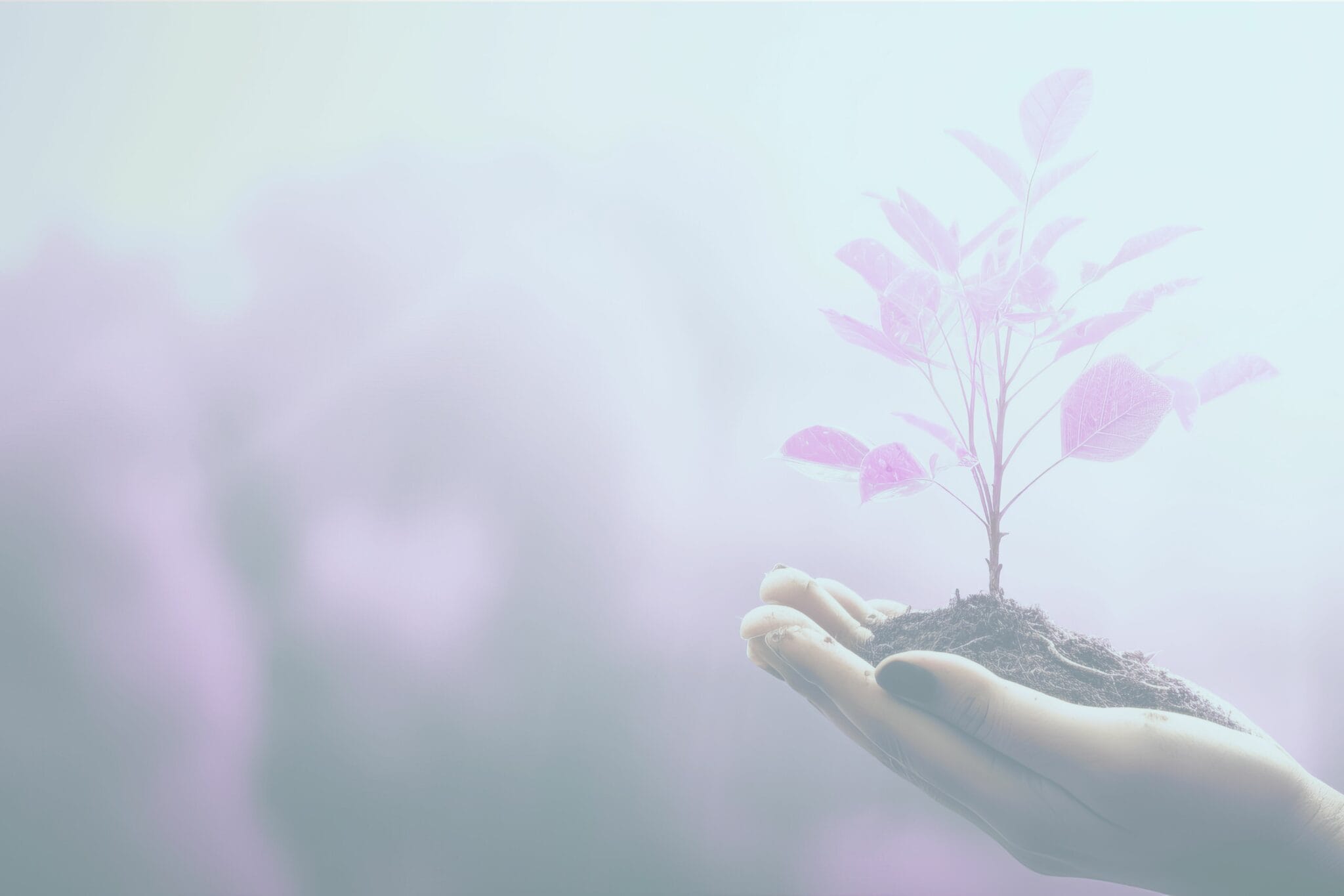 About SIIM - Society for Imaging Informatics in Medicine